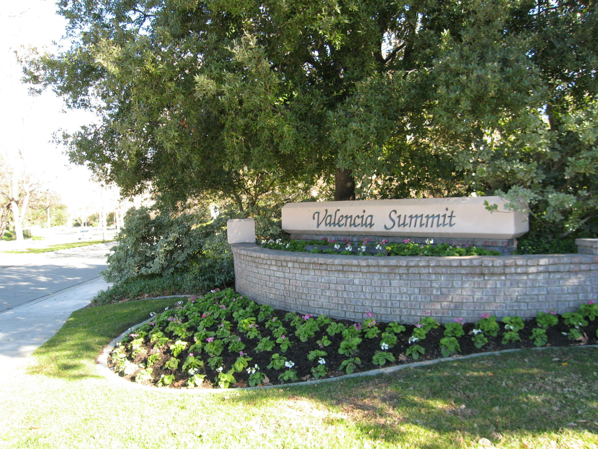 The Valencia Summit Lifestyle - Bill Boyd & Hedy Toji