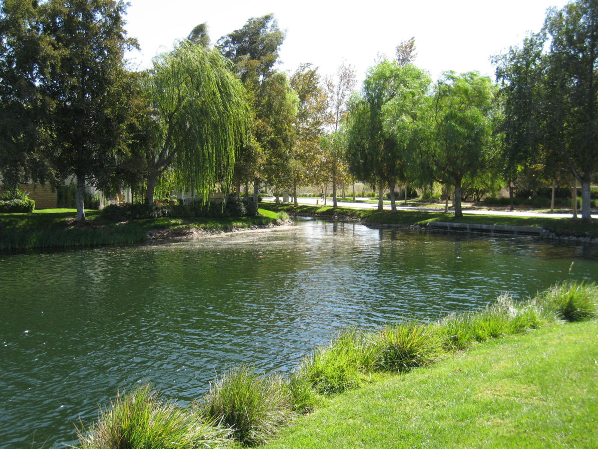 Life on the Water at Valencia Bridgeport - Bill Boyd & Hedy Toji